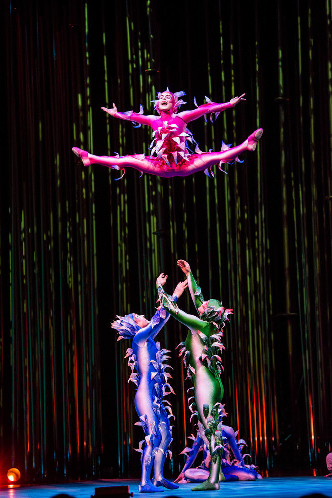 Varekai, Un bosque encantado te espera en Varekai