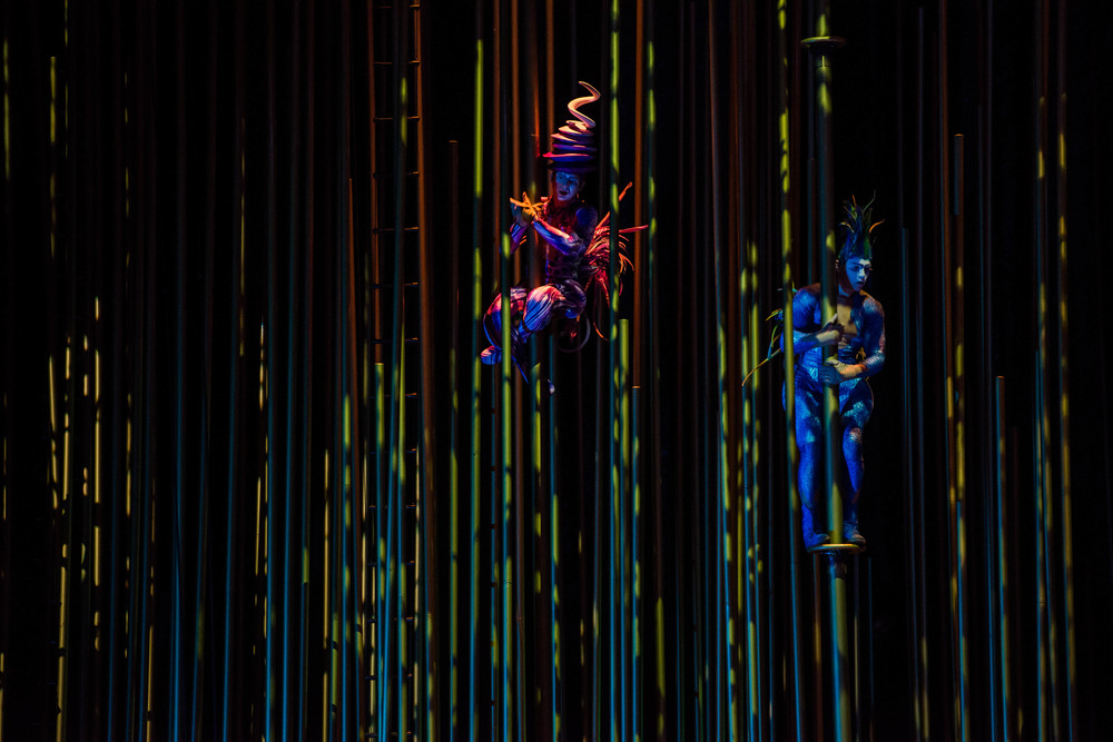 Varekai, Un bosque encantado te espera en Varekai